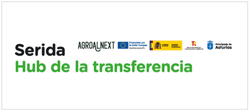 Presentación de Serida HUB - IDEPA